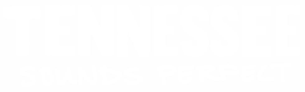 A First-Timer’s Guide to Kingsport’s Fun Fest: What to Know Before You ...